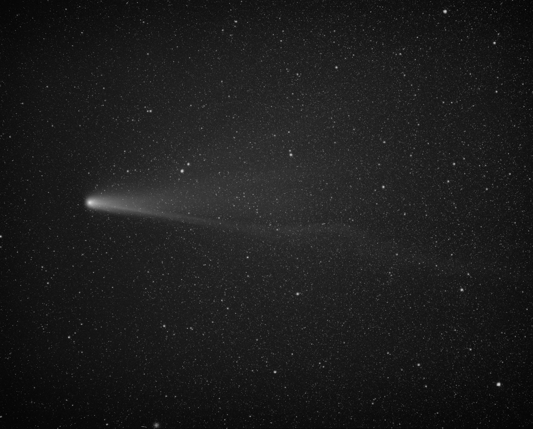 Halley’s Comet 1986 – Bewilderbeast Droppings