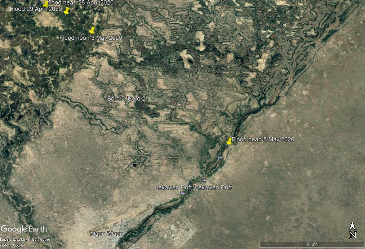 Okavango Delta – the 2020 flood – Bewilderbeast Droppings